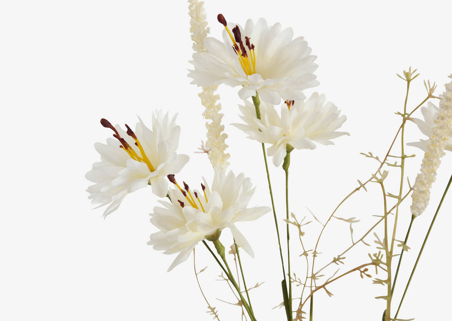 Rhona Cornflower Stem | White | Urban Barn