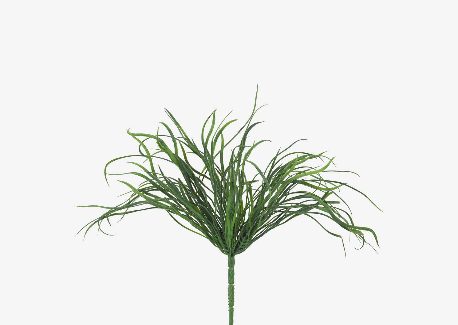 Cascade Grass Stem | Urban Barn