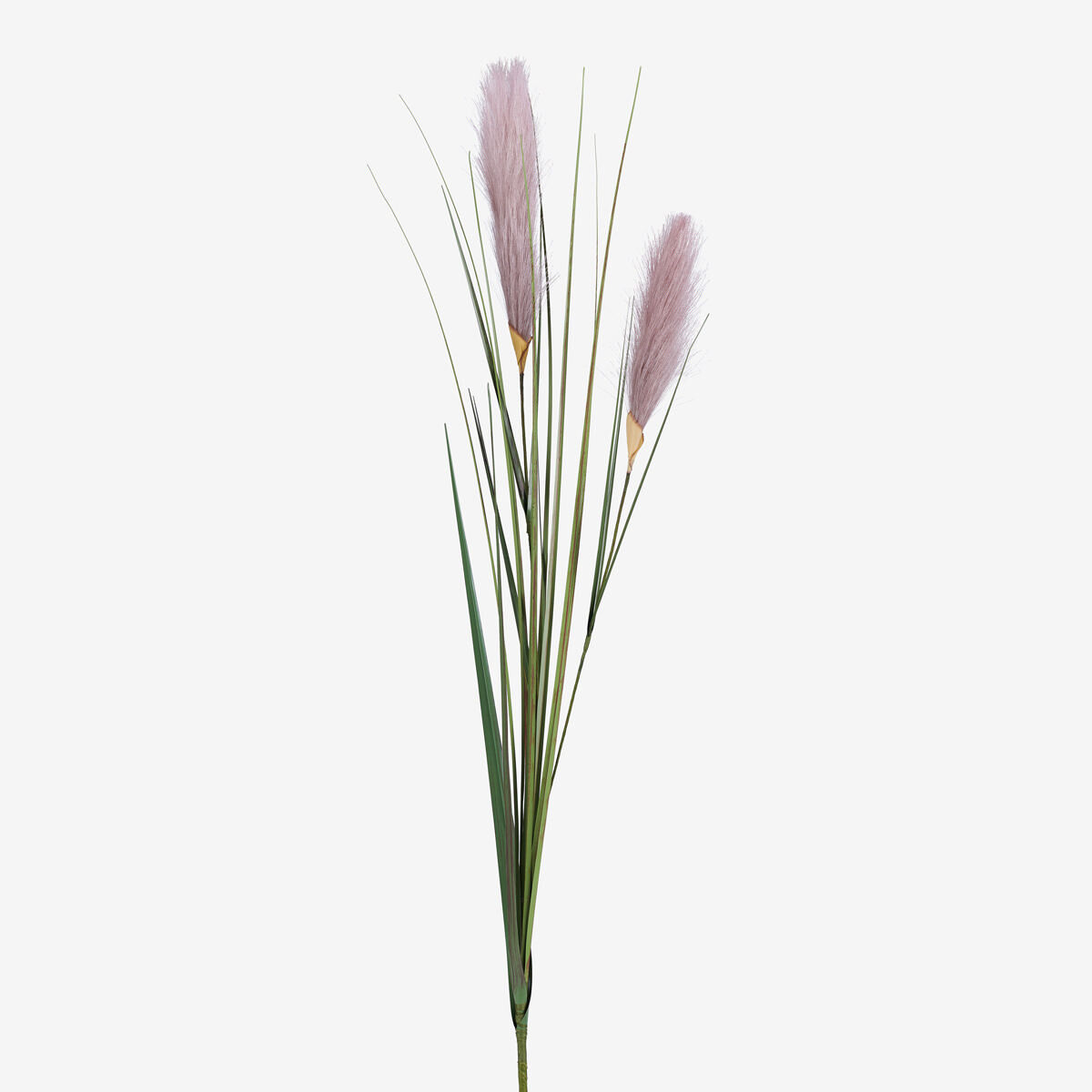 Adyn Bulrush Stem Ballet Pink | Urban Barn