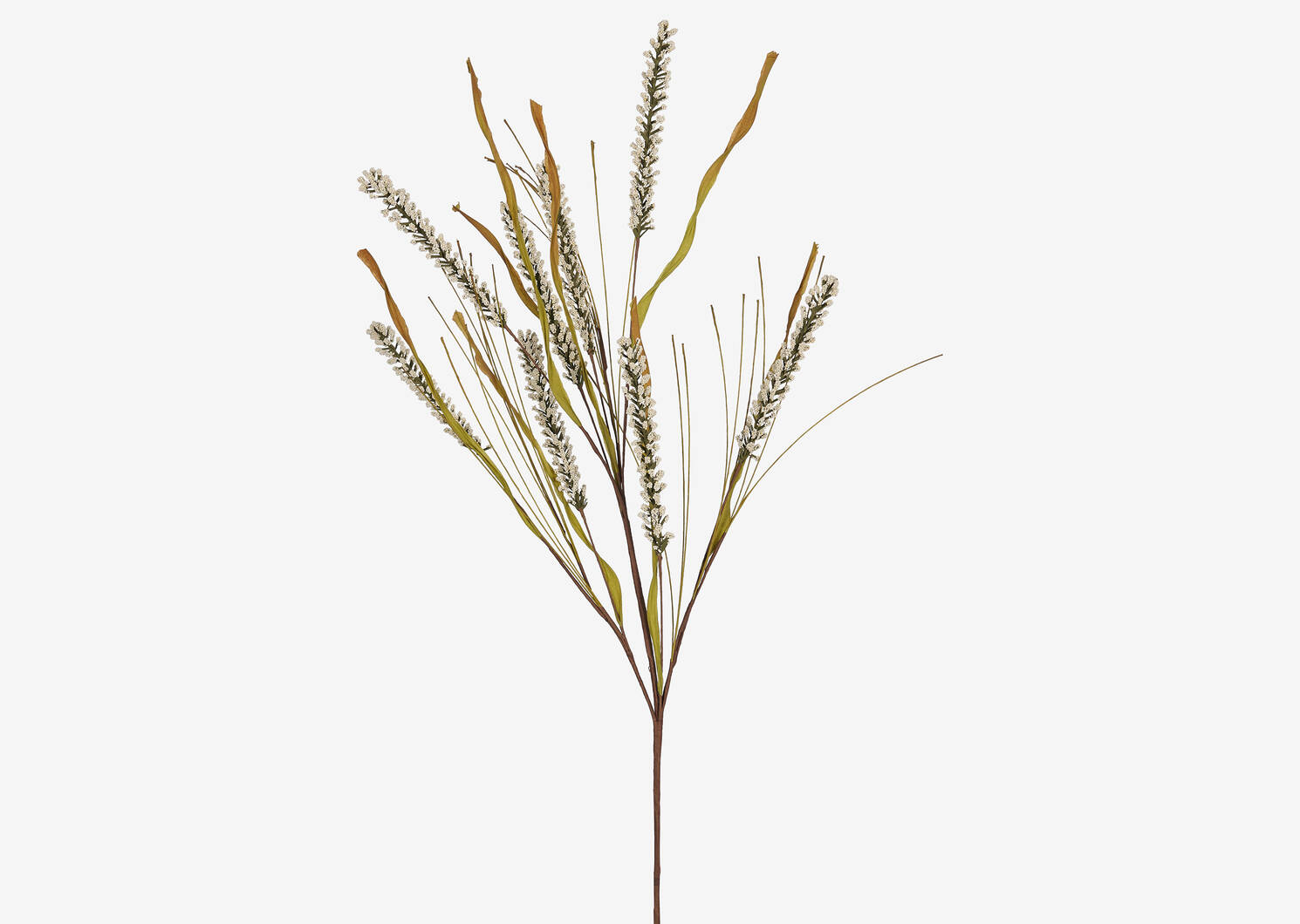 Brigid Wheat Grass Stem | Urban Barn