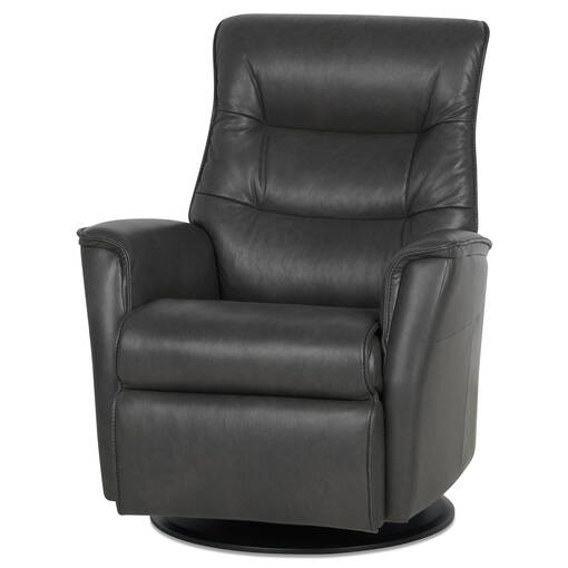 Paramount Leather Recliner -Sol Slate