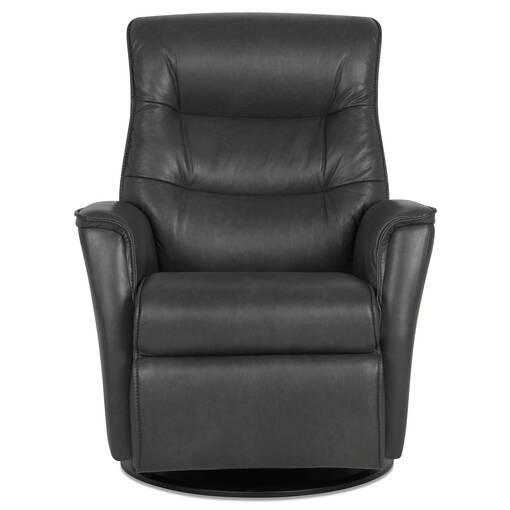 Paramount Leather Recliner -Sol Slate