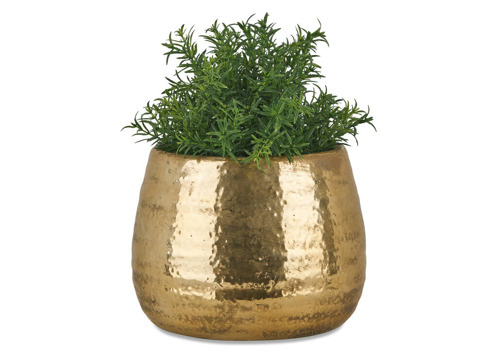 Trendy Vases, Planters & Decorative Pots | Urban Barn