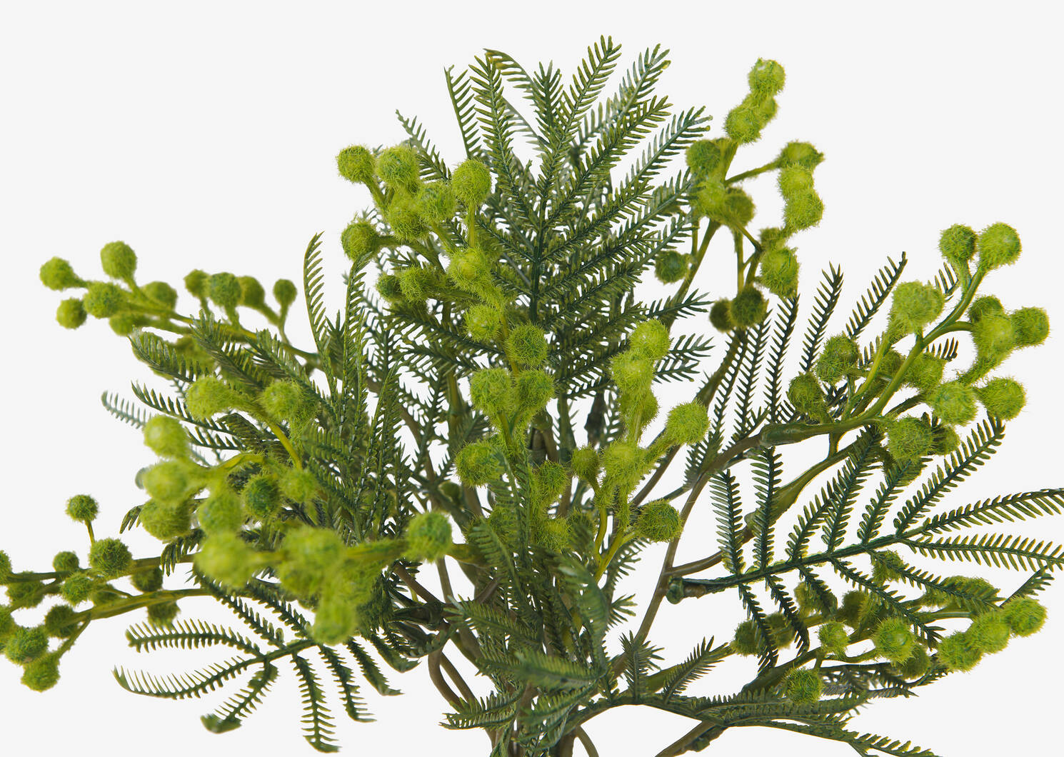 Fritz Rice Flower Bunch | Urban Barn