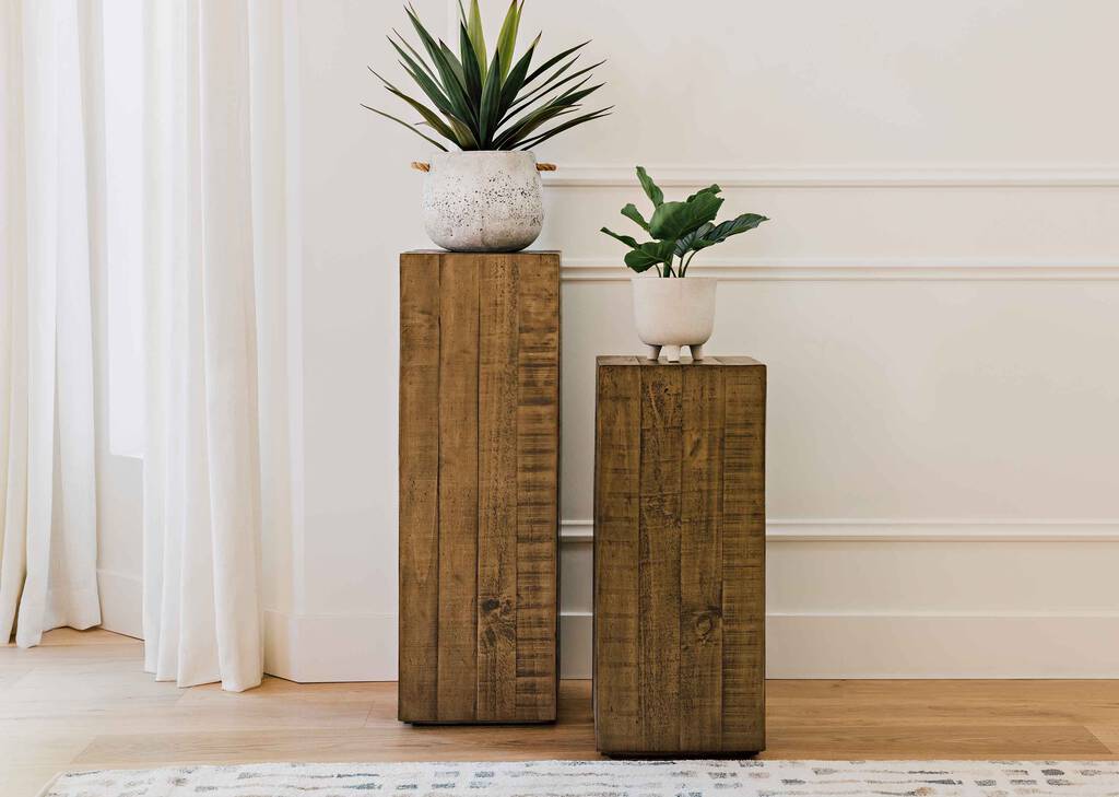 Calathea Plant Potted | Urban Barn