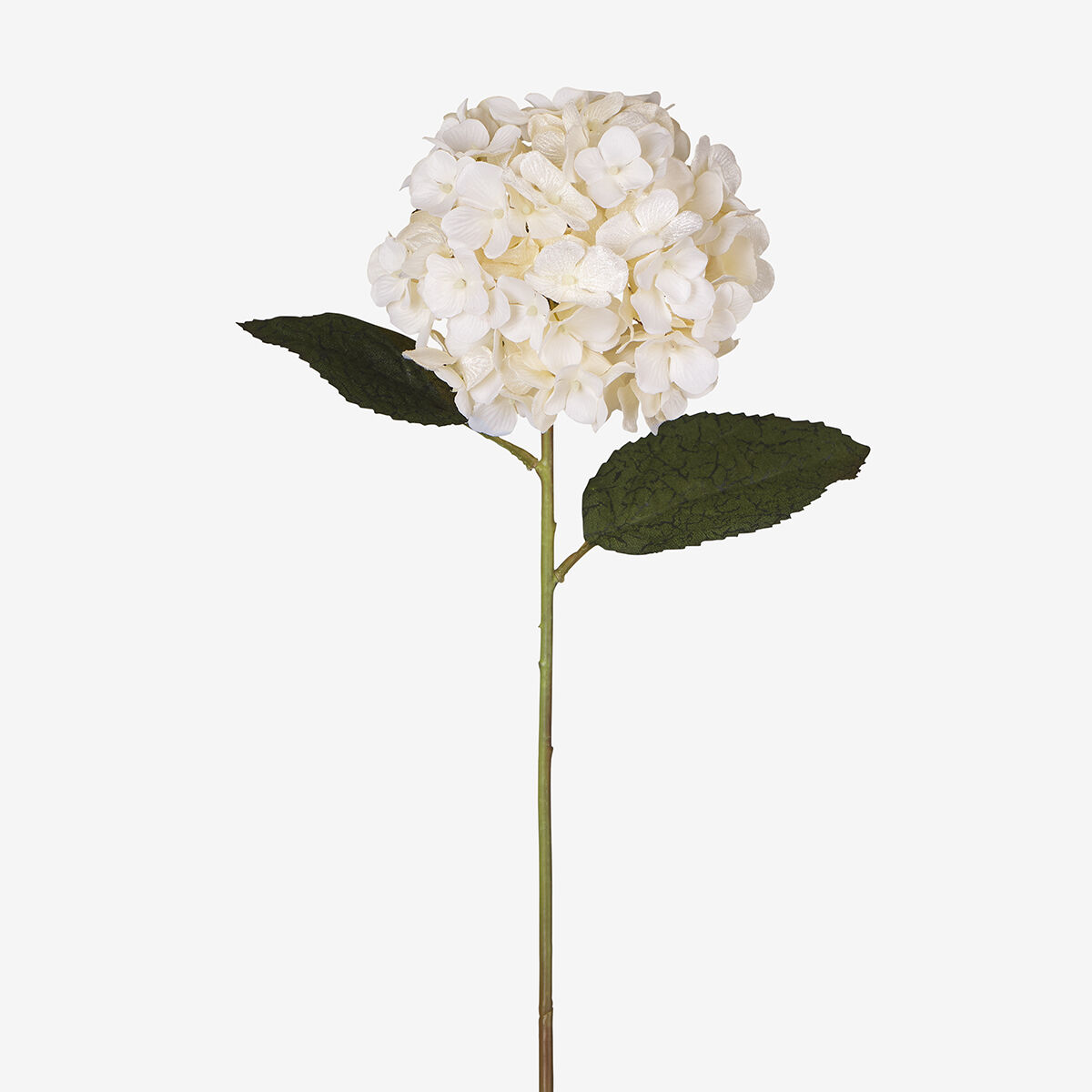 Sinay Hydrangea Stem Ivory | Urban Barn