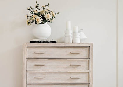 Trendy Vases, Planters & Decorative Pots | Urban Barn