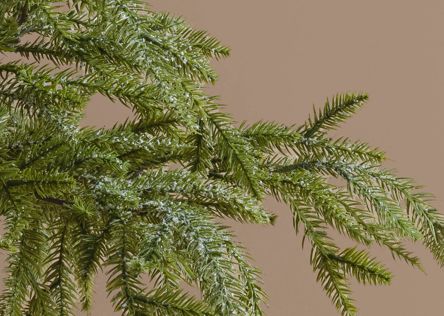 Misty Tree 2.5FT | Urban Barn